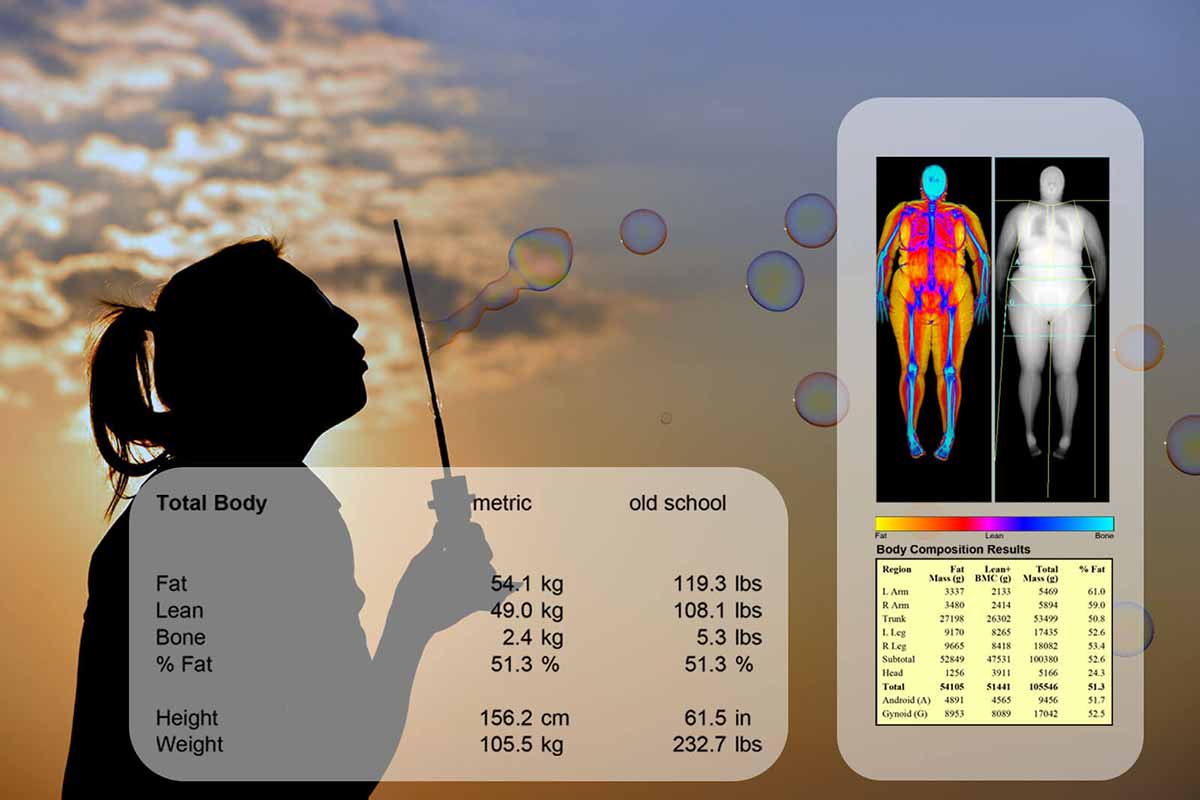 Female With High Percent Fat | Bodycomp Imaging